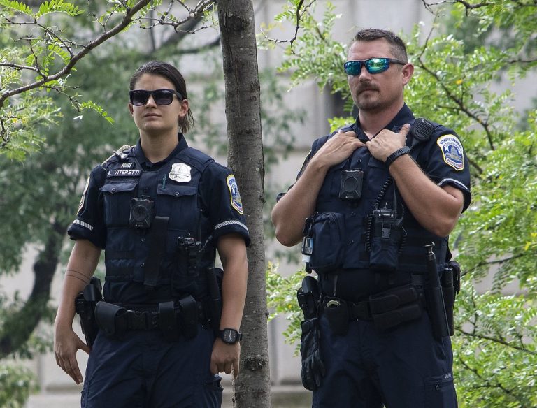 Symbolic Status: The Most Famous Police Patches and What They Represent ...